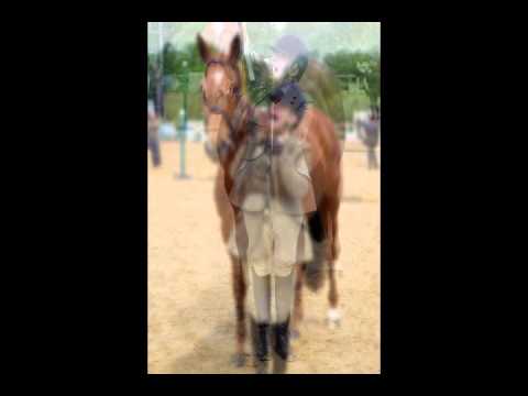 Jayne Howell - YouTube