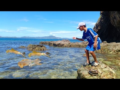 JACKPOT! ANG LA-LALAKI NG MGA PUSIT | MAGKAPATID TV