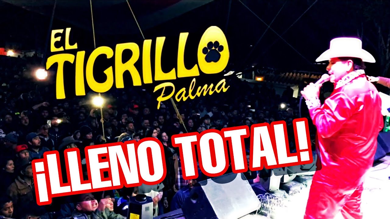 El Tigrillo Palma Revienta La Sierra De Oaxaca Cantando El Amor De Un ...