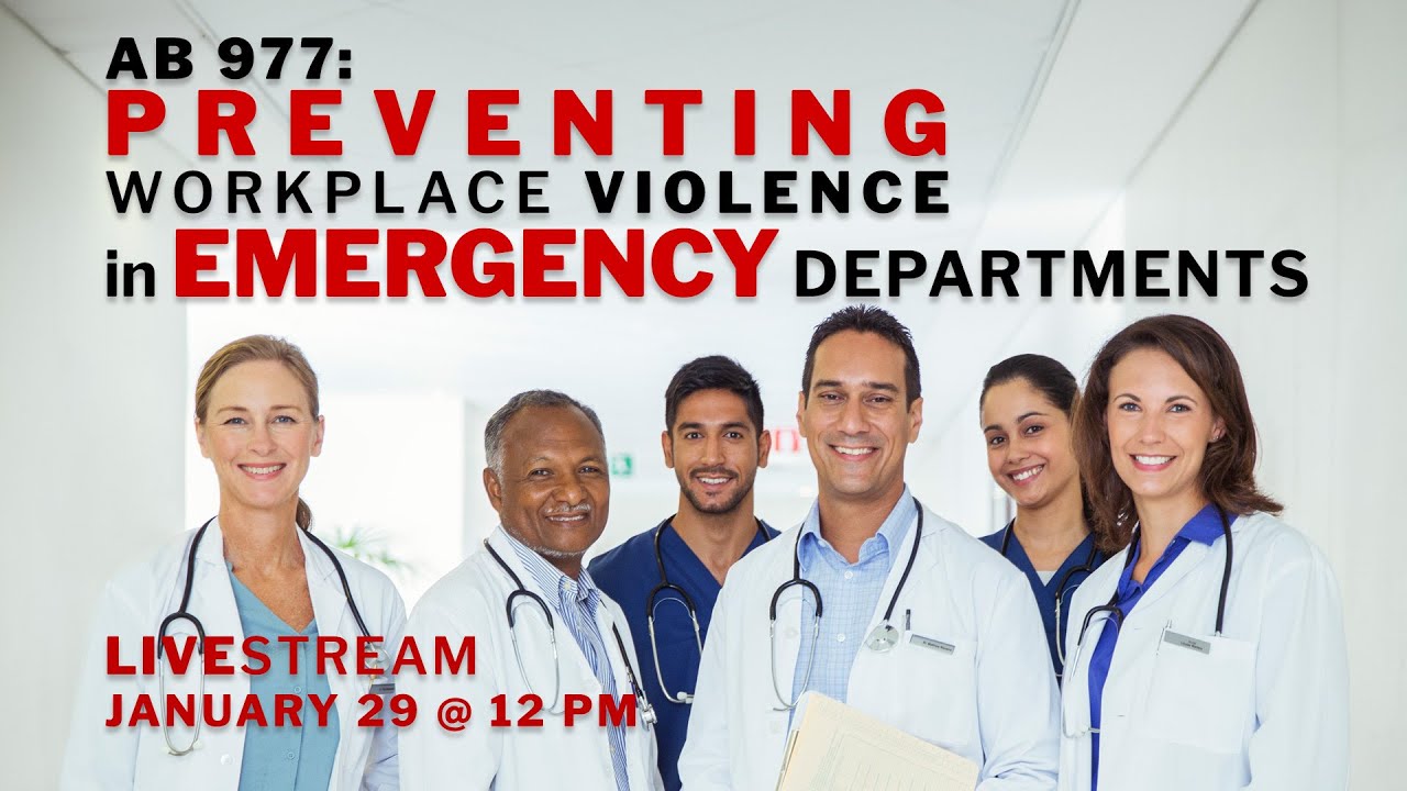 Protecting Heathcare Workers and Preventing Workplace Violence in ...
