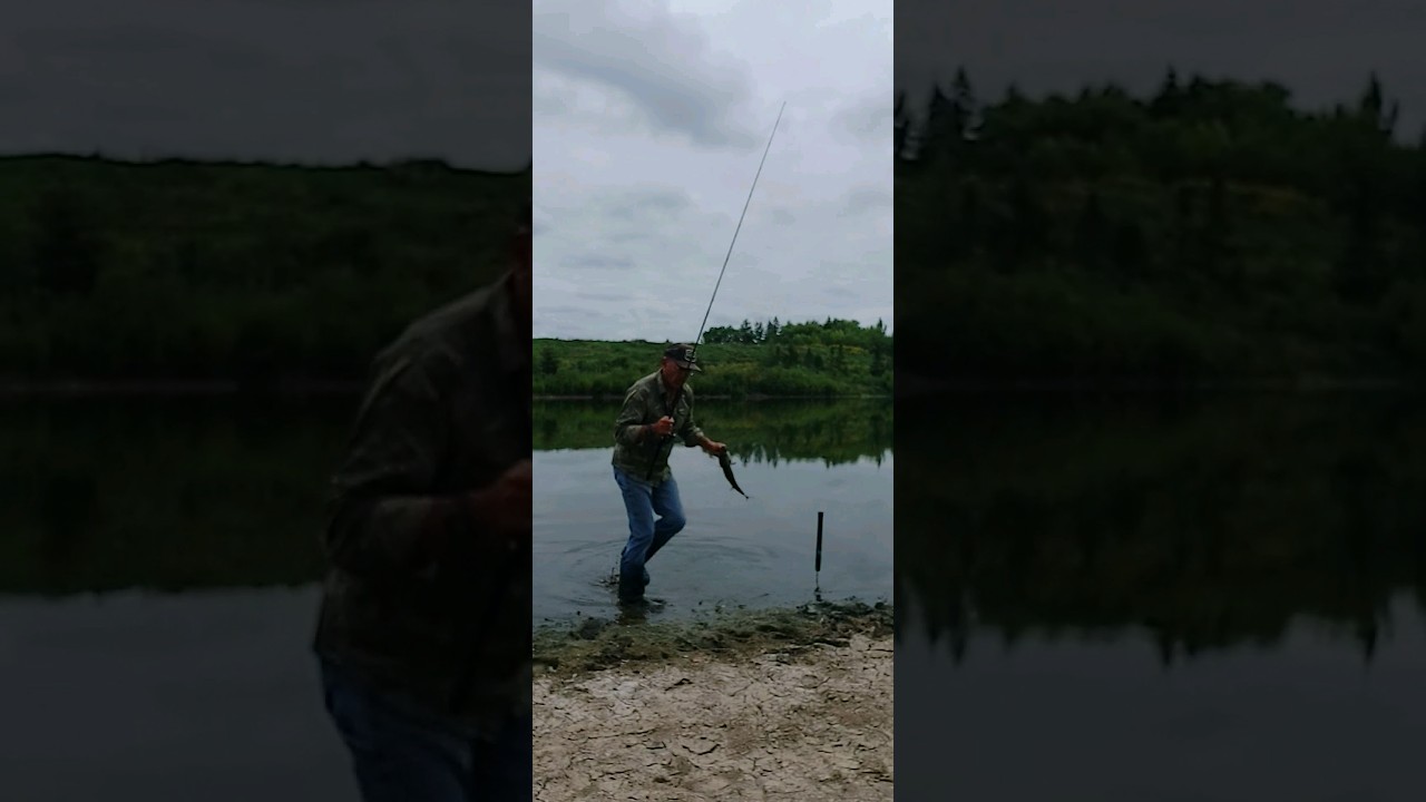 THIS LARGEMOUTH BASS HAD A SOME GIRTH!!! #shorts - YouTube