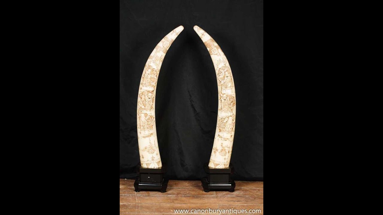 Pair Bone Hand Carved Tusks - YouTube