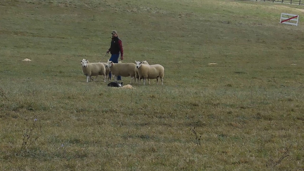 Brian Cash and Neal Semi Final (2017 USBCHA finals) - YouTube