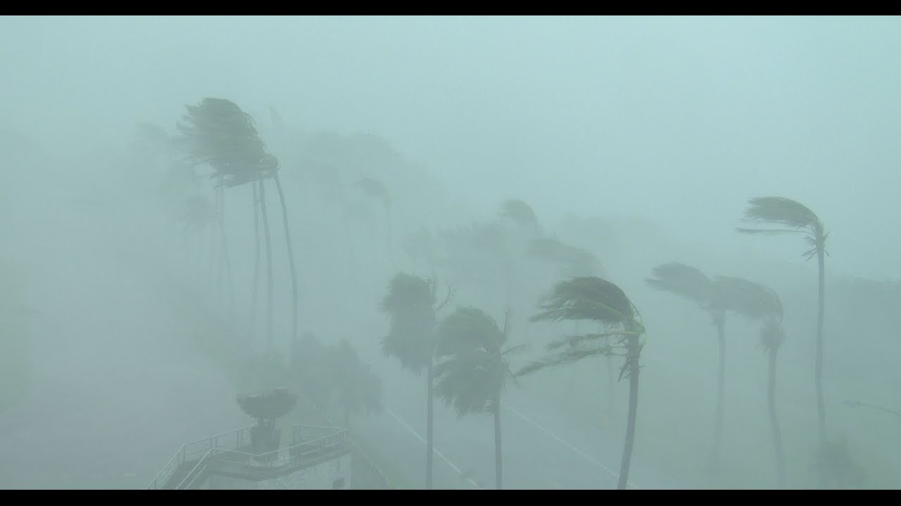 Mega Crashing Waves & Blinding Eye Wall Wind & Rain - 4K Stock Footage ...
