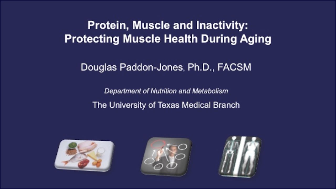 Protein, Muscle and Inactivity: Projecting Muscle Health During Aging ...