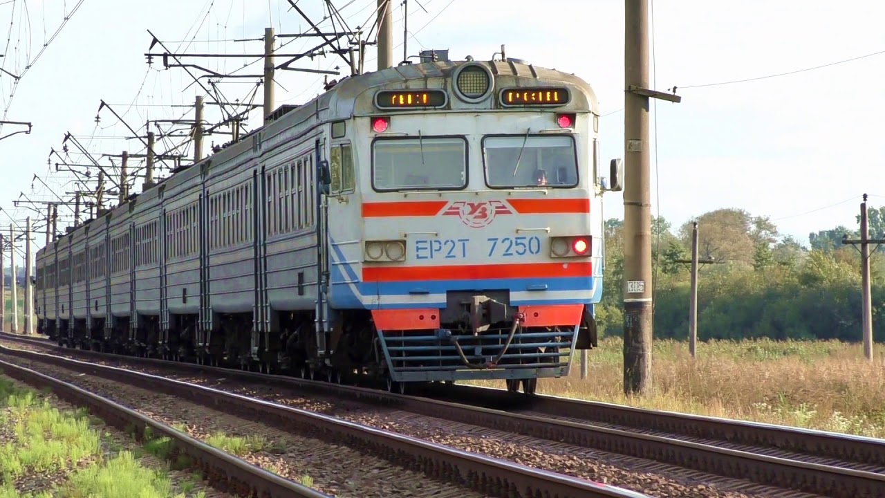 Danger on the Rails: When Horses Meet Trains - YouTube