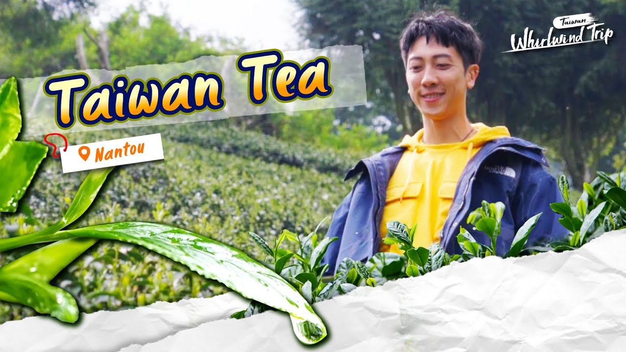 Tasting Taiwanese Tea Where It’s Grown |📍𝑵𝒂𝒏𝒕𝒐𝒖 | Whirlwind Trip - YouTube