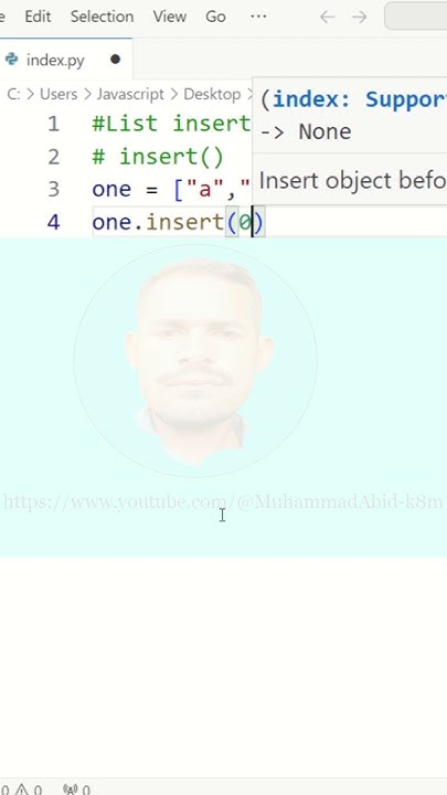 Python Tutorial For Beginners / Python learn / List Add Elements Insert tags - YouTube