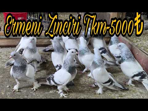 Ermeni Zinciri Sabuniler. Watsap.545.550.0192