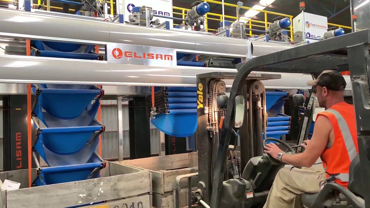 Food Automation presents Elisam 8 Lane Optical Onion Grader NZ - YouTube