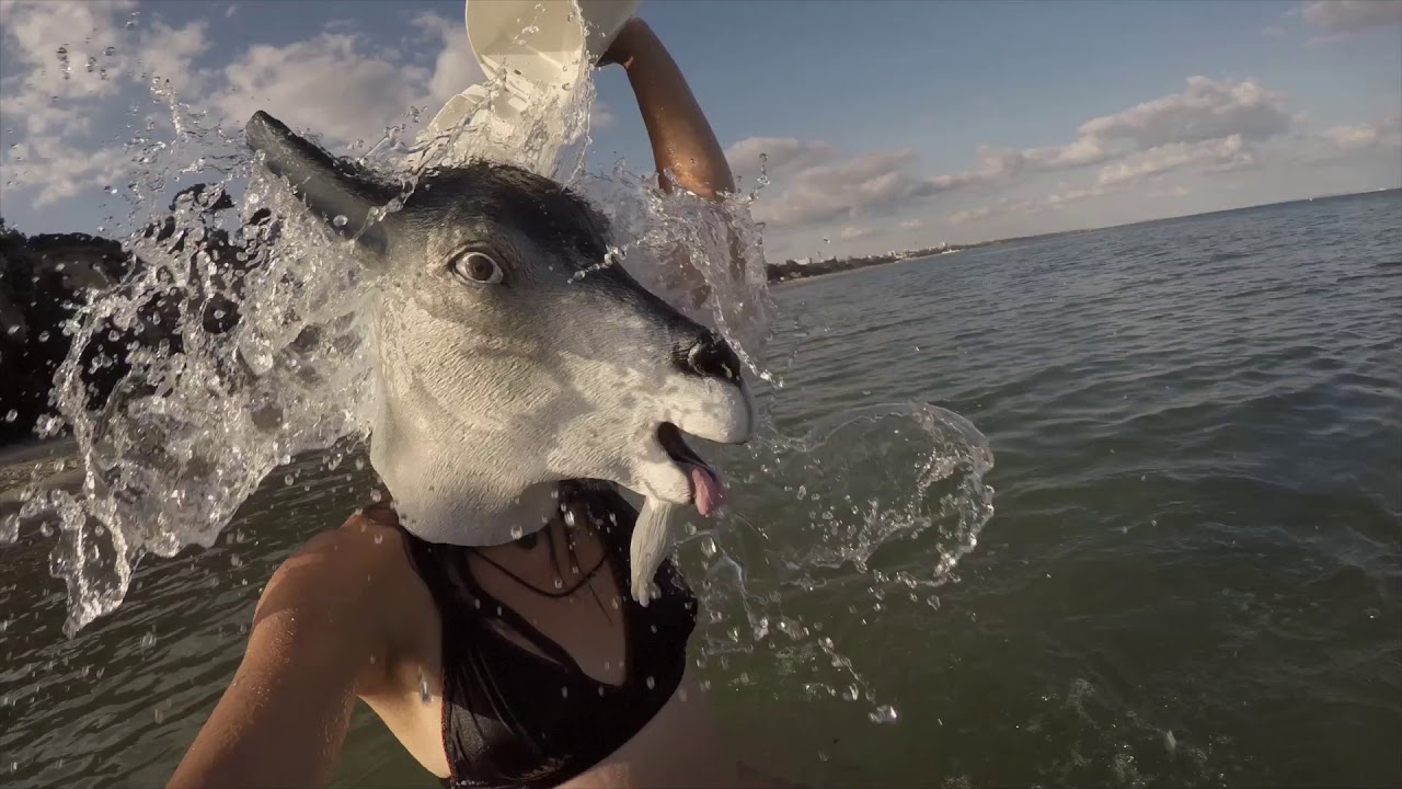 Seriously Exotic Goat Goes Electronic Swimming - Psycho-acoustic Goat ...