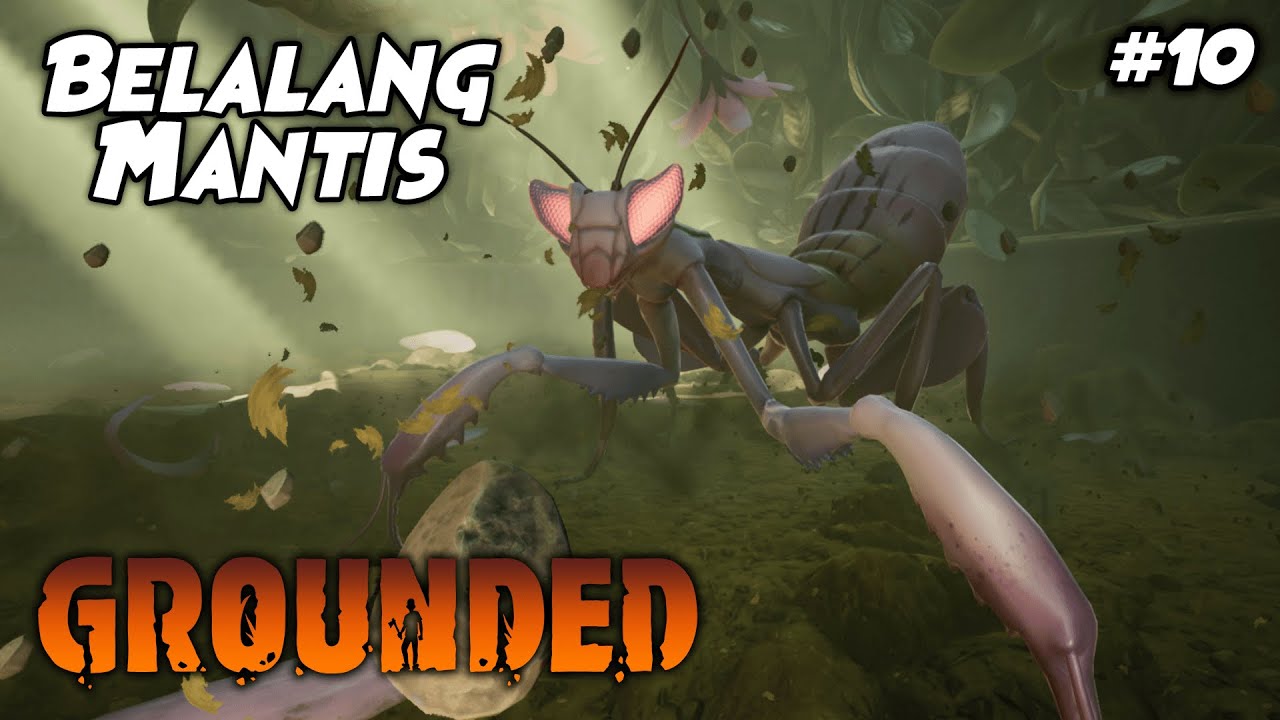 🔴 KEKUATAN MANTIS YANG SEBENARNYA ! | Grounded Indonesia Live #10 - YouTube