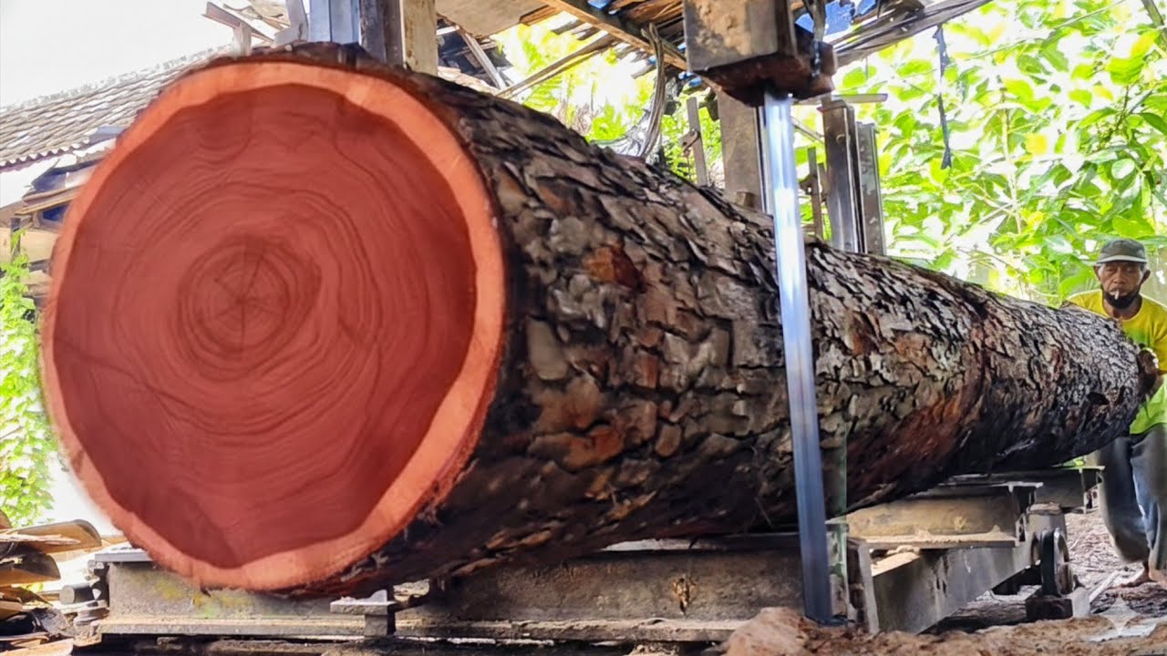 A man turns a 450cm long log into a precision board. - YouTube