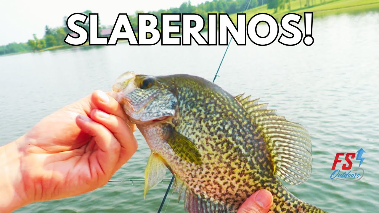 Big Baits for Big Crappie! Drift Fishing with Jigs and Twisters - YouTube