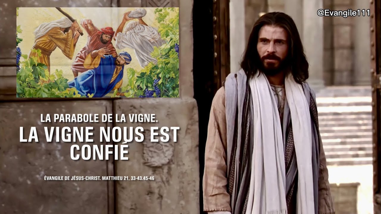 Évangile de Jésus Christ - Matthieu 21, 33-43.45-46 La vigne ? - YouTube