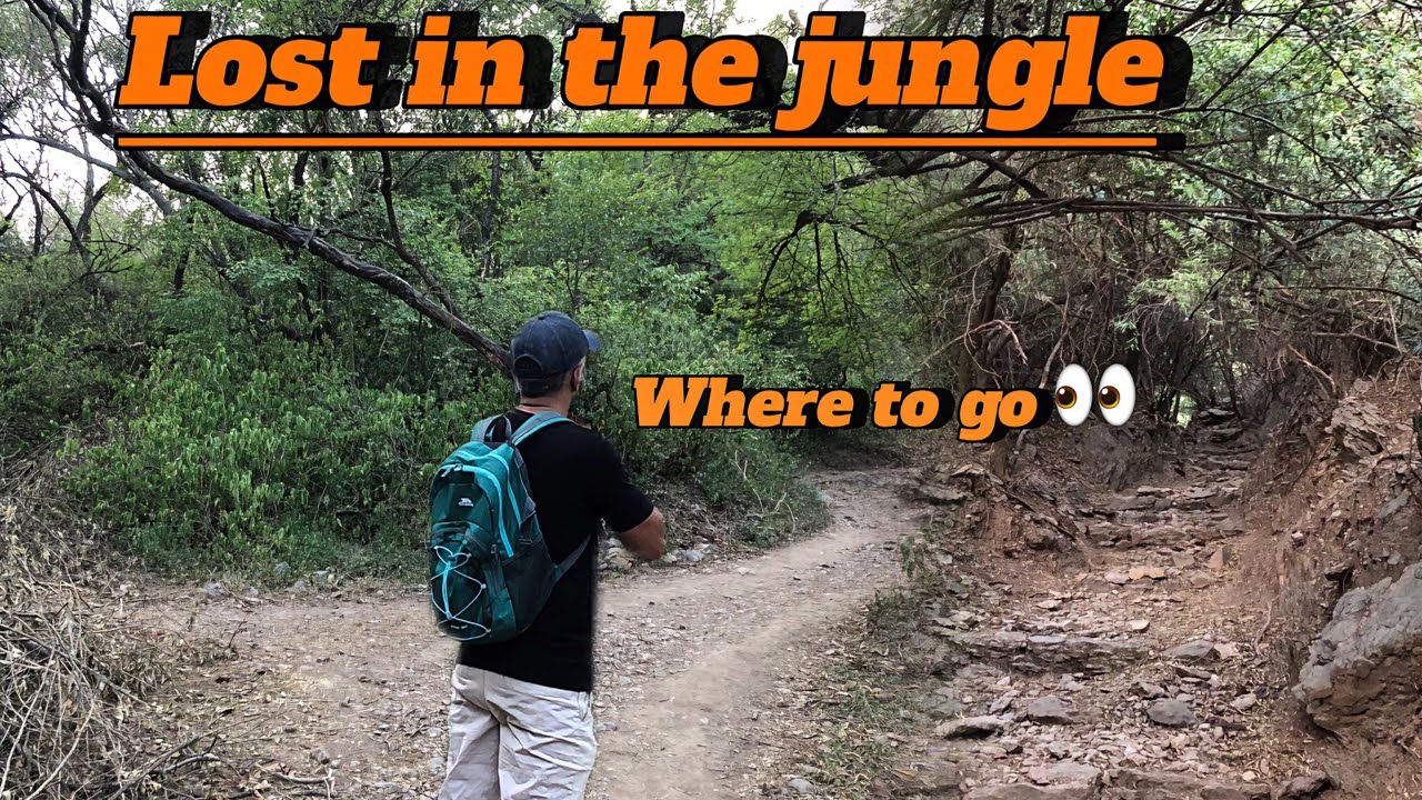 Lost in the Dense Jungle 👀 I Trail 4 to Dhok Jeewan| Margalla National ...