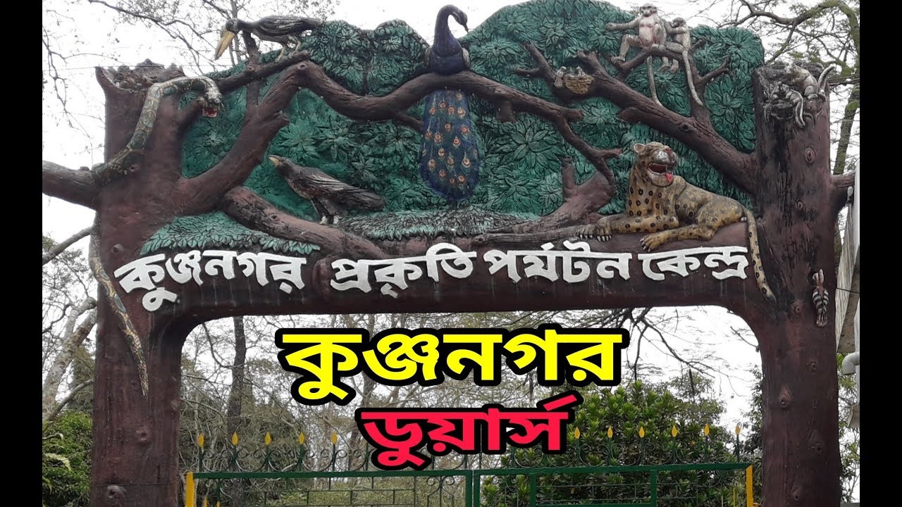 Kunjanagar Picnic Spot || কুঞ্জনগর ইকো পার্ক || Dooars || - YouTube