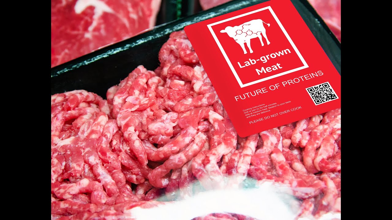 MEAT THE WEF - YouTube