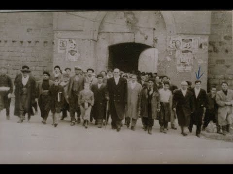 nurcîkî tirk u dîyarbekîrî; seîdê nûrsî, mehmet kayalar çima şiyand?
