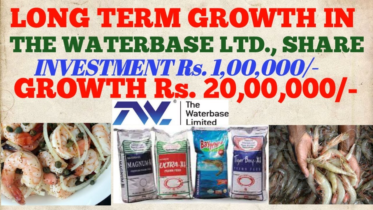 ABOUT THE WATERBASE LIMITED SHARE - YouTube