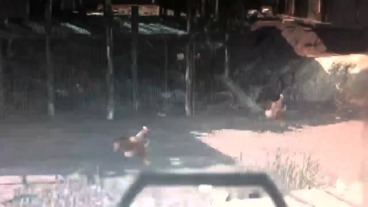 Call of duty mw3 chicken dance - YouTube