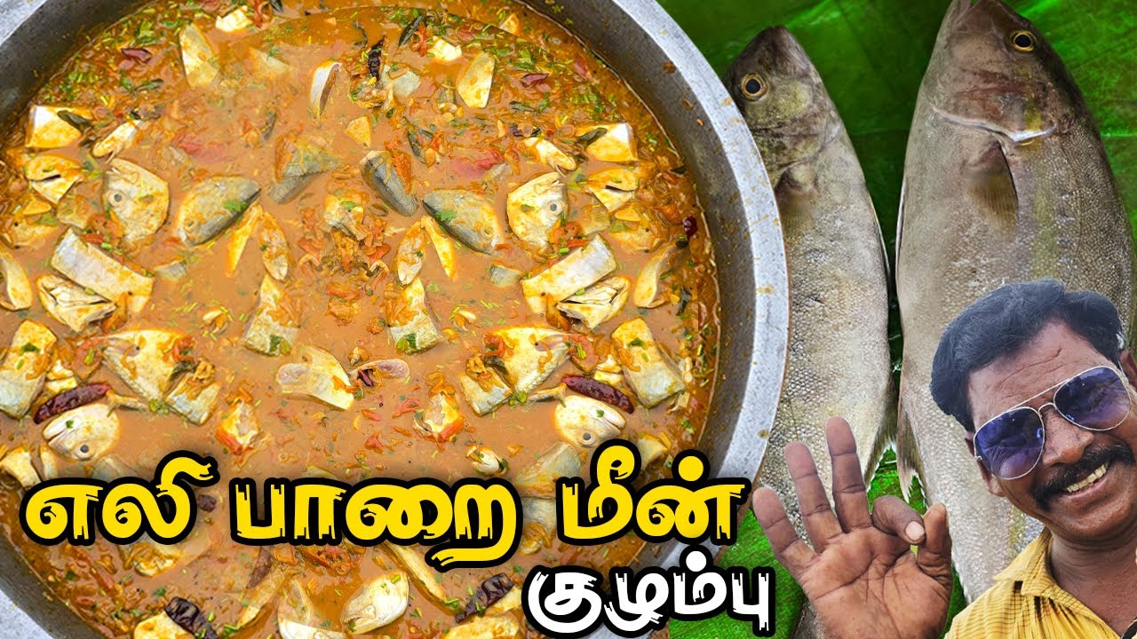 பியூட்டிக்கு 💃 பாட்டி 👵 செய்து கொடுத்த - எலி பாறை மீன் குழம்பு🤩 ...