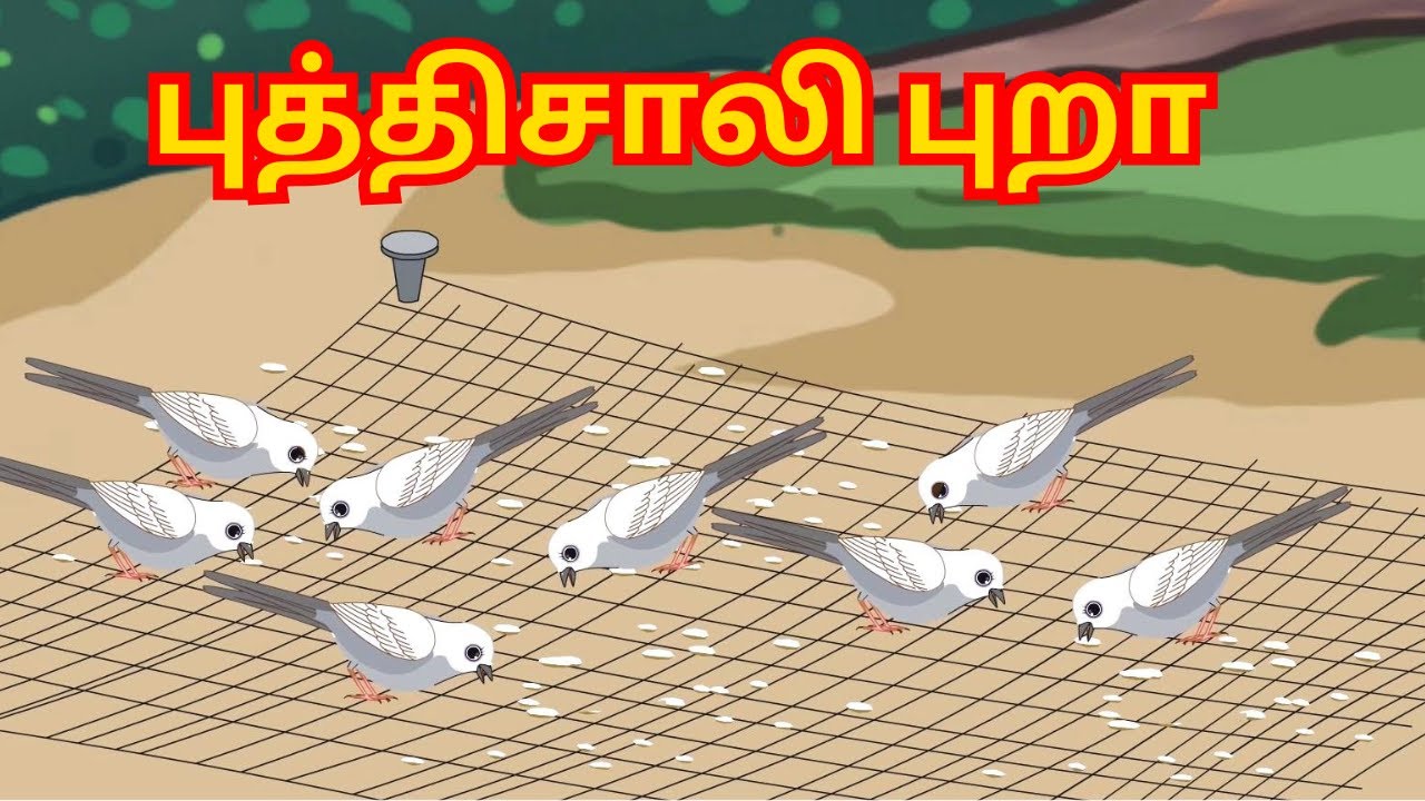புத்திசாலி புறா Kids Animation Tamil | kids stories Tamil | Moral Kids ...