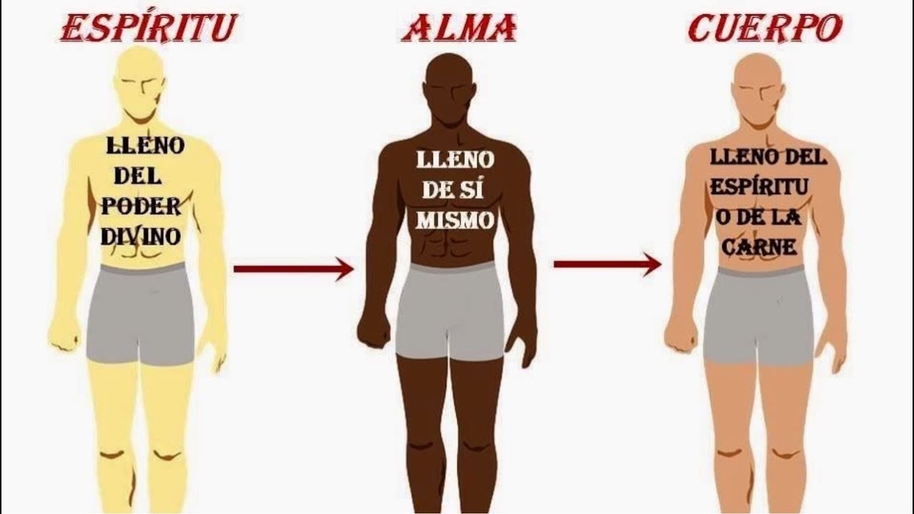 FUNCIONES DEL ESPIRITU ALMA Y CUERPO EN EL SER HUMANO - YouTube