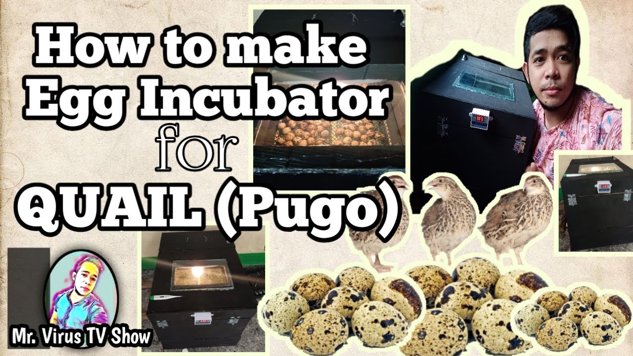 How to make Egg Incubator for Pugo, Chicken, Duck and Turkey ( Tagalog ...