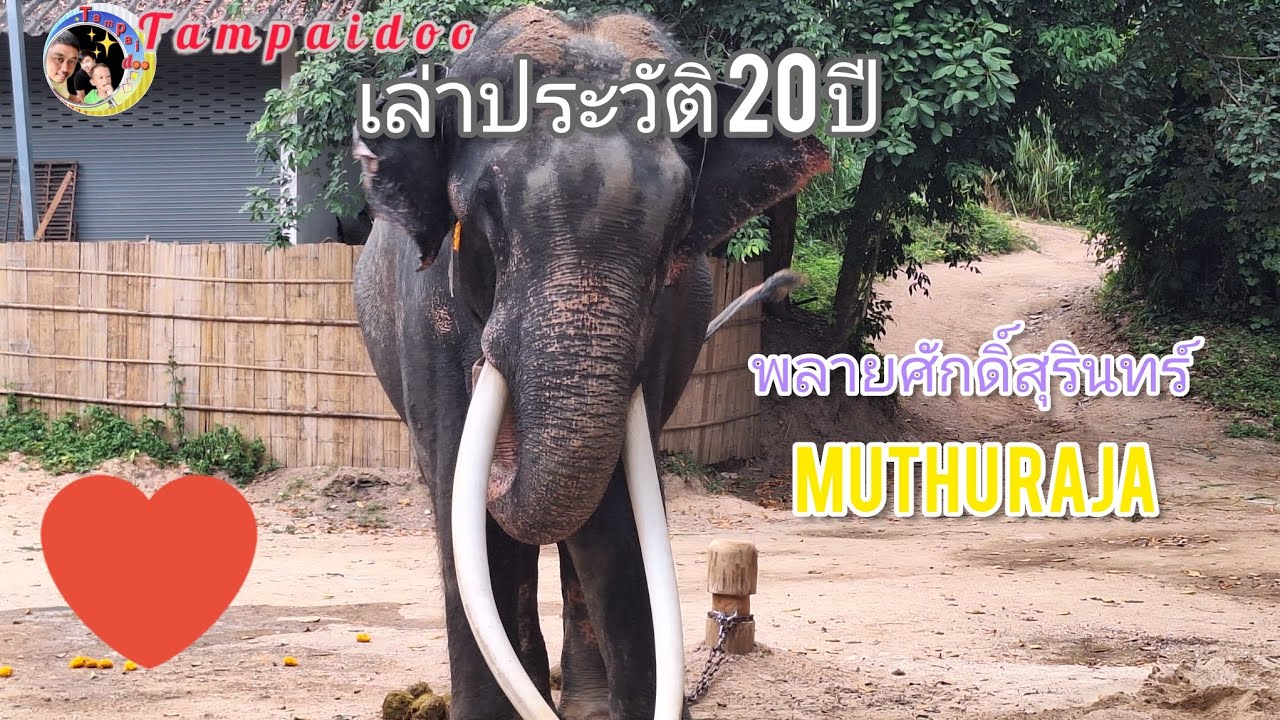 เล่าย้อนรอยประวัติศาสตร์20ปีพลายศักดิ์สุรินทร์ Youtube
