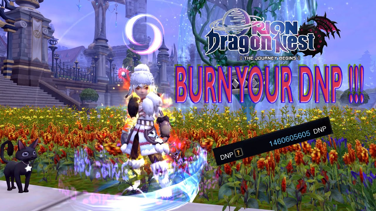 DNP Burn ? Fighting Duck ? Lets Go ! Orion Dragon Nest - YouTube