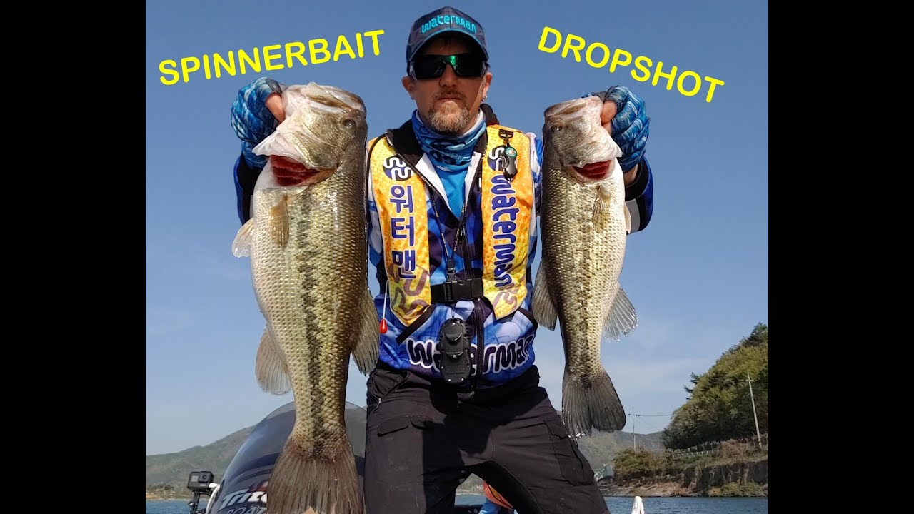 Bass Fishing in Korea - Dropshot and spinnerbait - YouTube