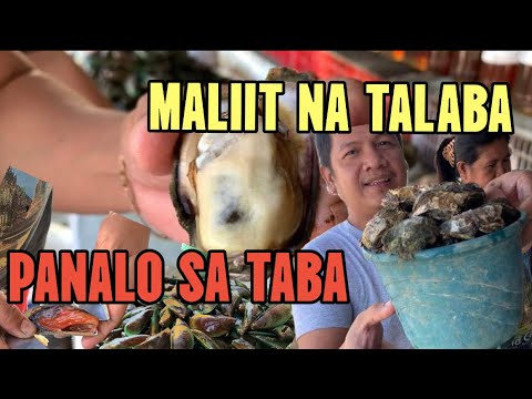 TALABA NG CAVITE MALILIIT PERO MATATABA | TAHONG LAGI DILIGAN - YouTube