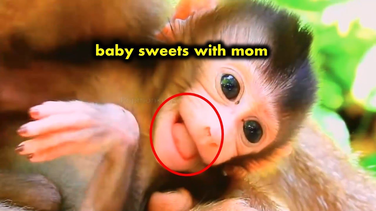 Wonderful day!!! Mom loving and compassionate to a child for life ...