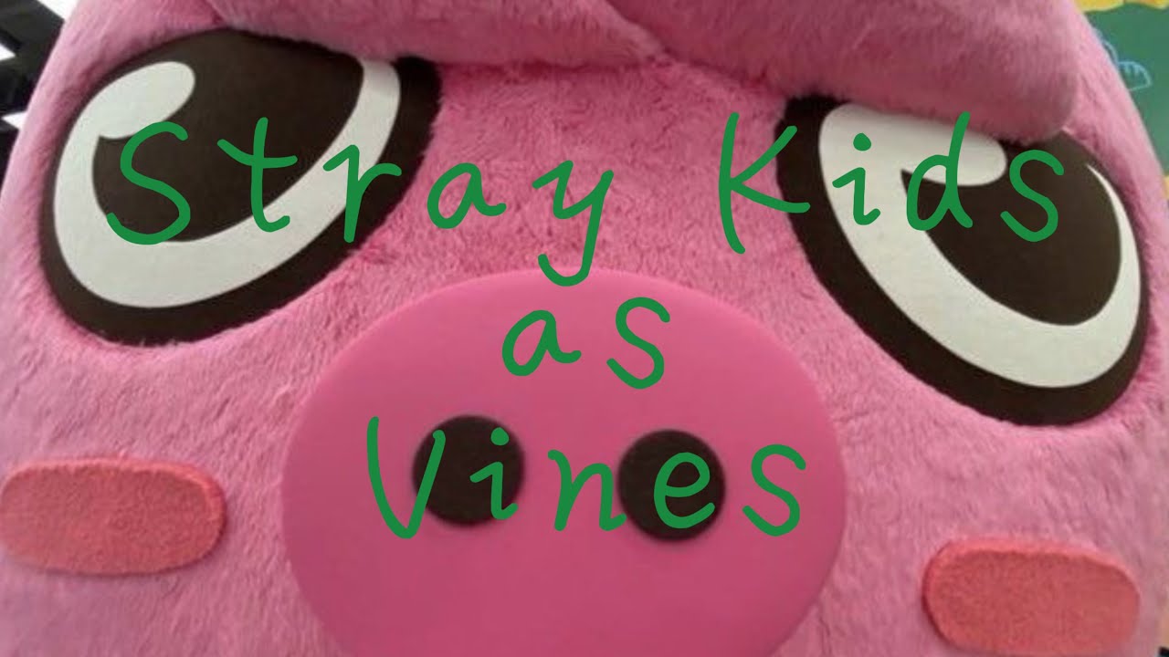 Stray Kids as Vines compilation! (Check Description) - YouTube