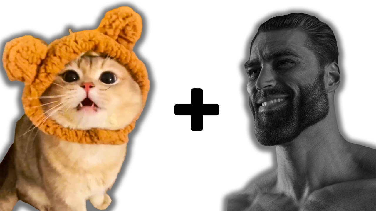 Cute Kitten Meows BUT GigaChad Cat - YouTube