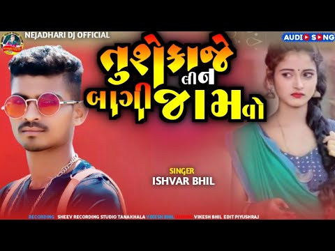 લિન બાગી જામ વો new Ishwar bhil vadadhala new timali 2024,new Ishwar ...