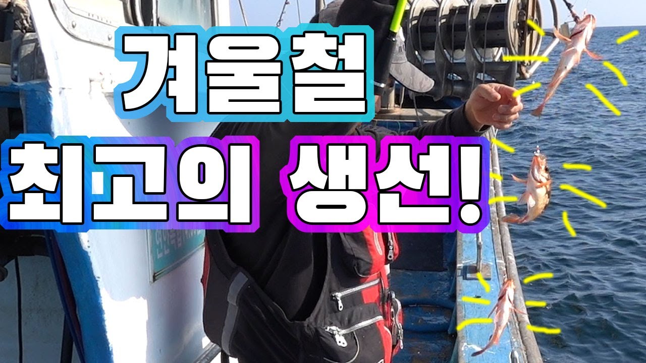 물에 넣자마자 잡히는 볼락낚시!! 초겨울 최고의맛 !!입에 넣자마자 녹습니다./Why would fish throw ...
