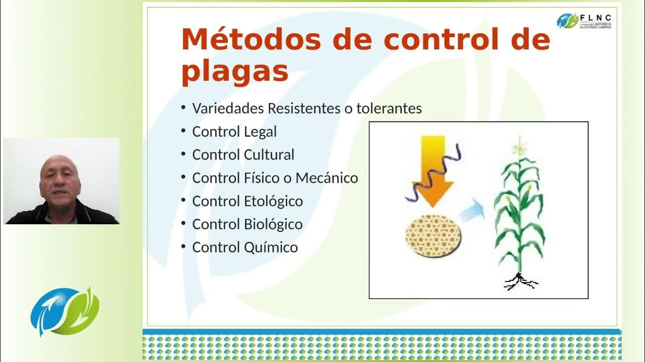 Aprenda sobre Manejo Integrado de Plagas (MIP) - YouTube