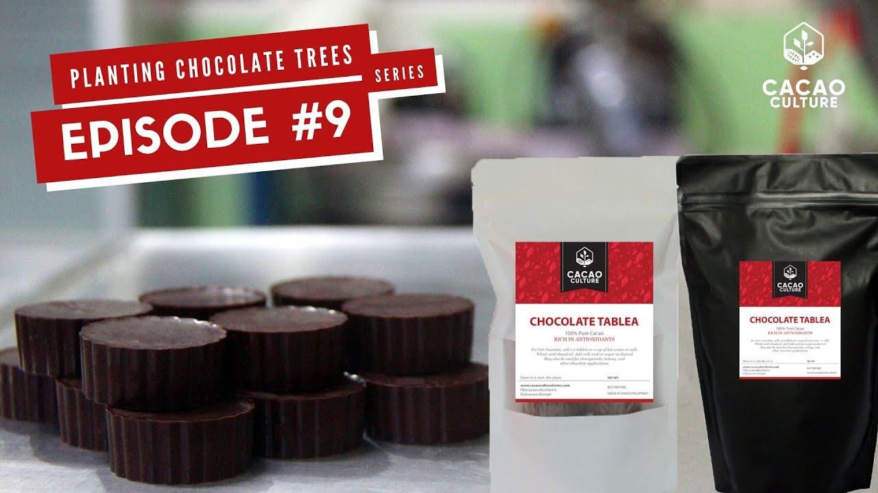 How to Make Tablea (100% Pure Chocolate) - Planting Chocolate Trees ...