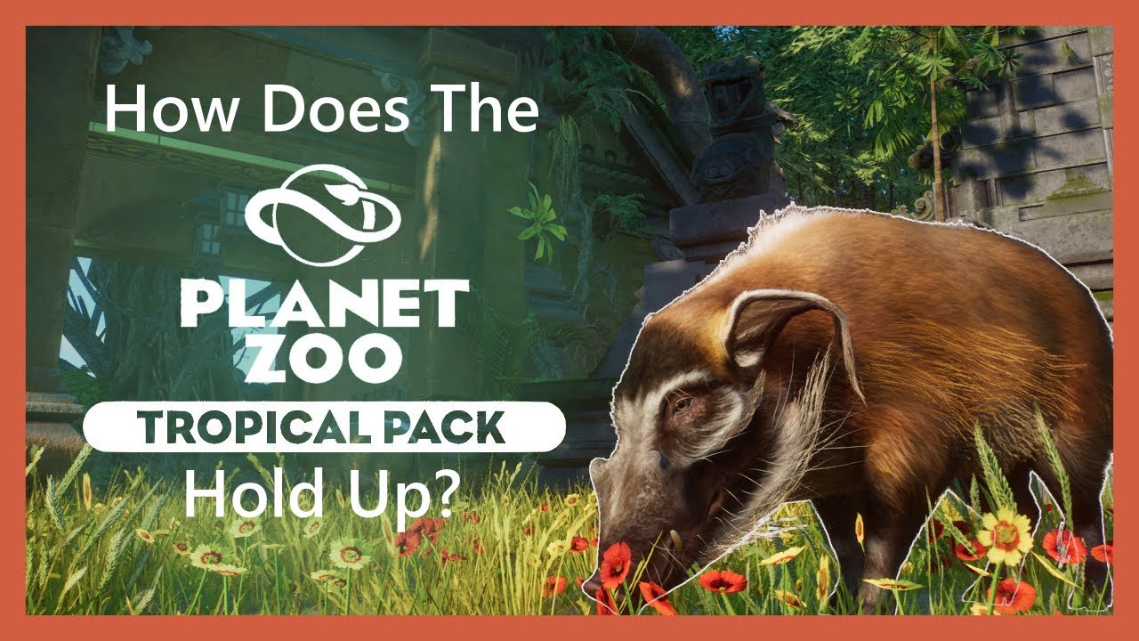 How does the Tropical pack DLC hold up? | Planet Zoo - YouTube