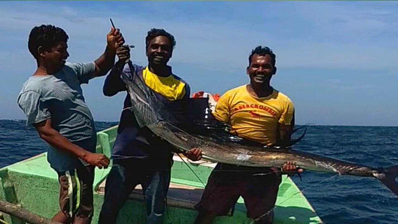 Giant Sailfish Catching At Deep Sea - YouTube