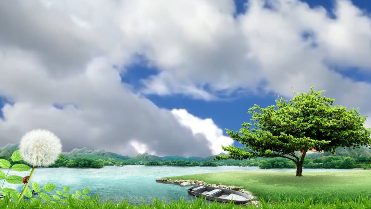 Beautiful nature landscape background video | nature grass background ...