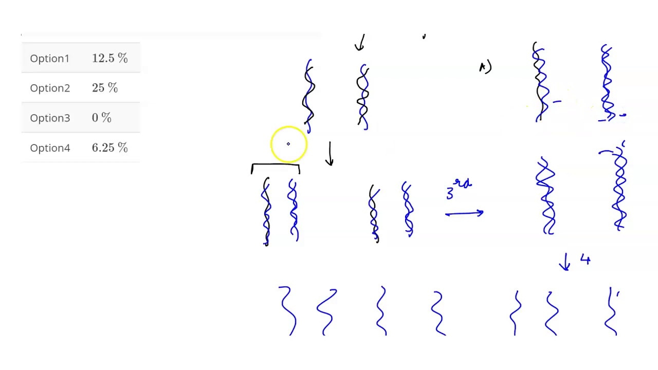 A normal DNA molecule is continuously replicate in `N^(15)` medium than ...