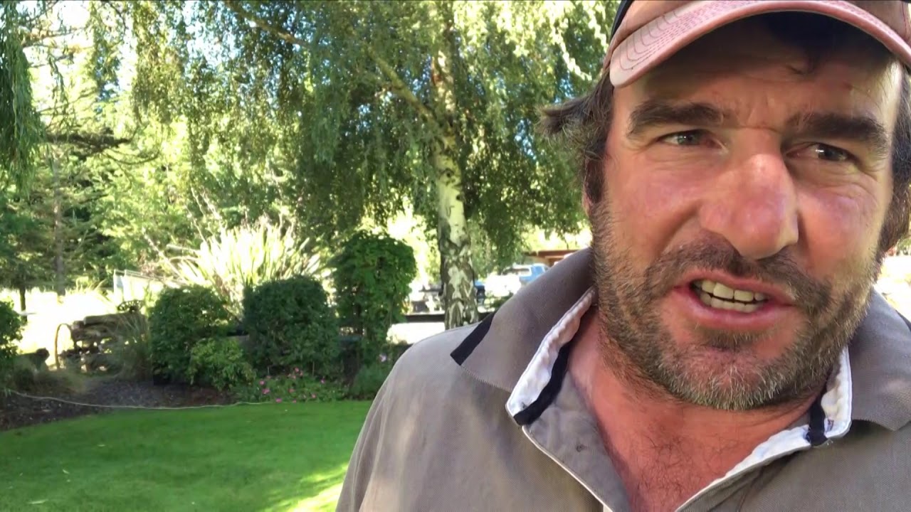Peter Lyon shearing celebrates 33 years - YouTube
