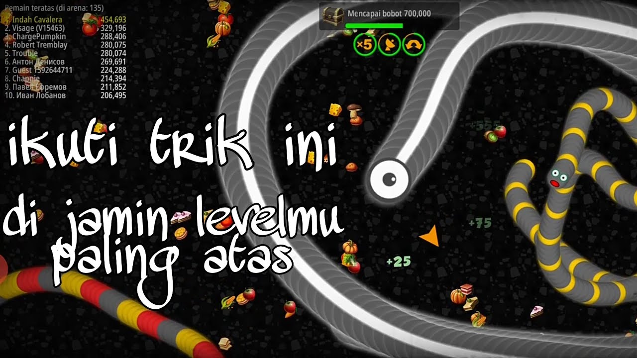 #cacingalaska Trik pemula bermain cacing alaska || cacing Alien Worms ...