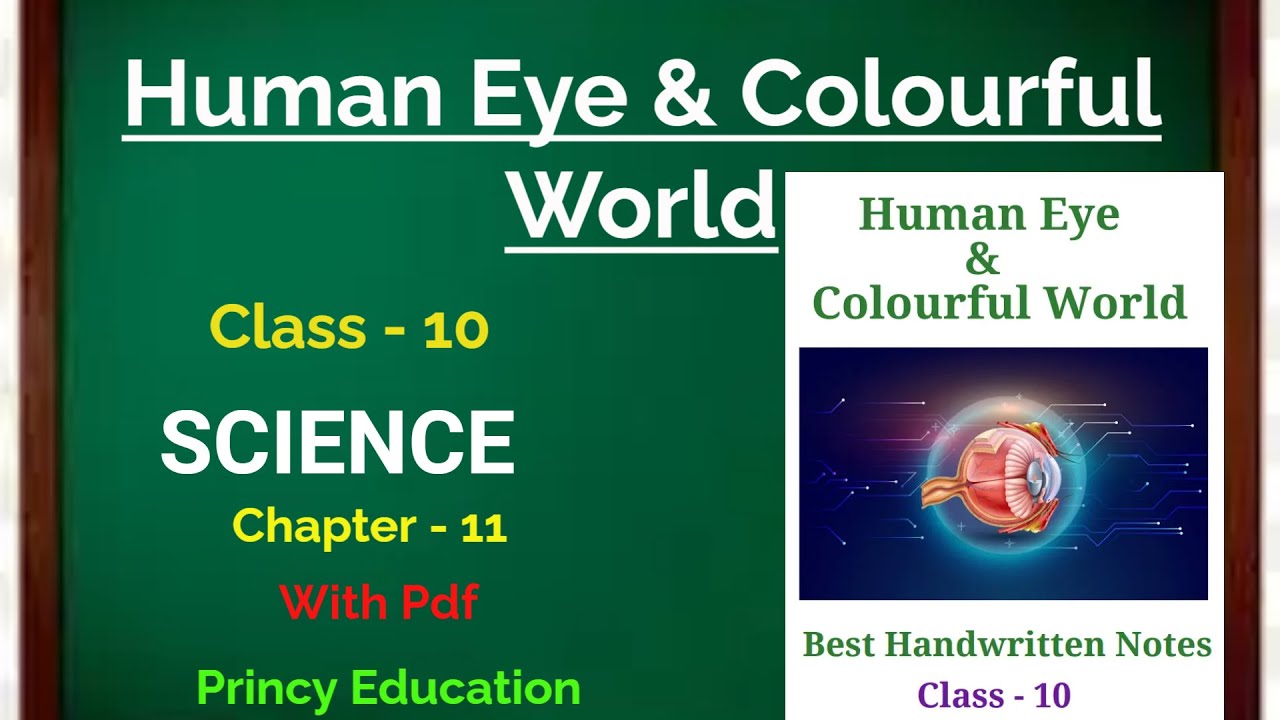 Chapter 11 Human Eye & Colourful World Class 10 Notes with pdf | NCERT ...