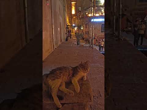Mardin #shorts #mardin #tiktok #viral #keşfet #video #trending #youtube #youtubeshorts #incisuaydar