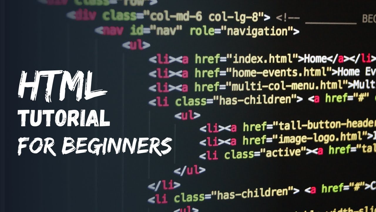 3 Html Tutorial For Beginners Part 3 Html Beginners Tutorial In 7253