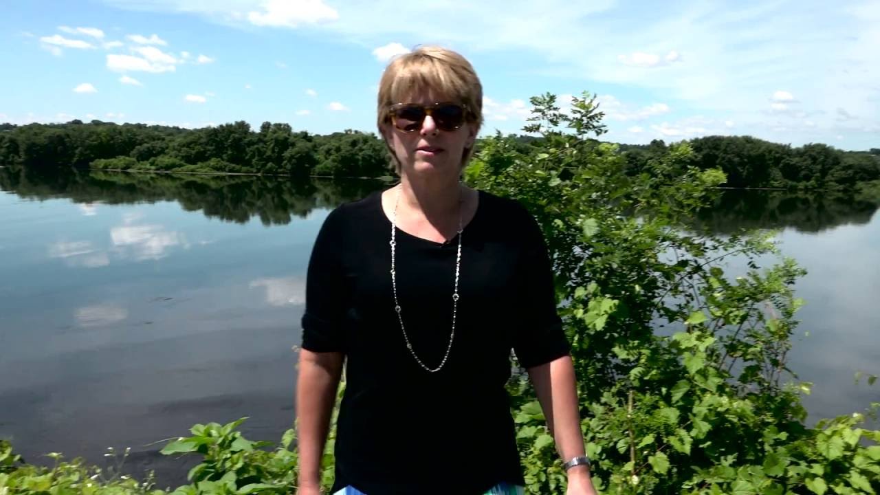 TEDxHarrisburg Speaker Video: Lynn Shiner - YouTube